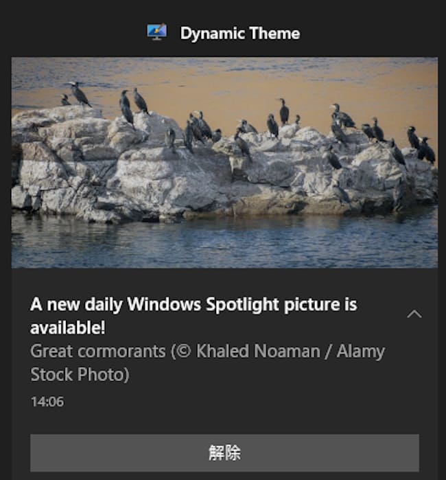 『Windows スポットライト』と『Dynamic Theme』で素敵な写真をパソコンの背景として使う